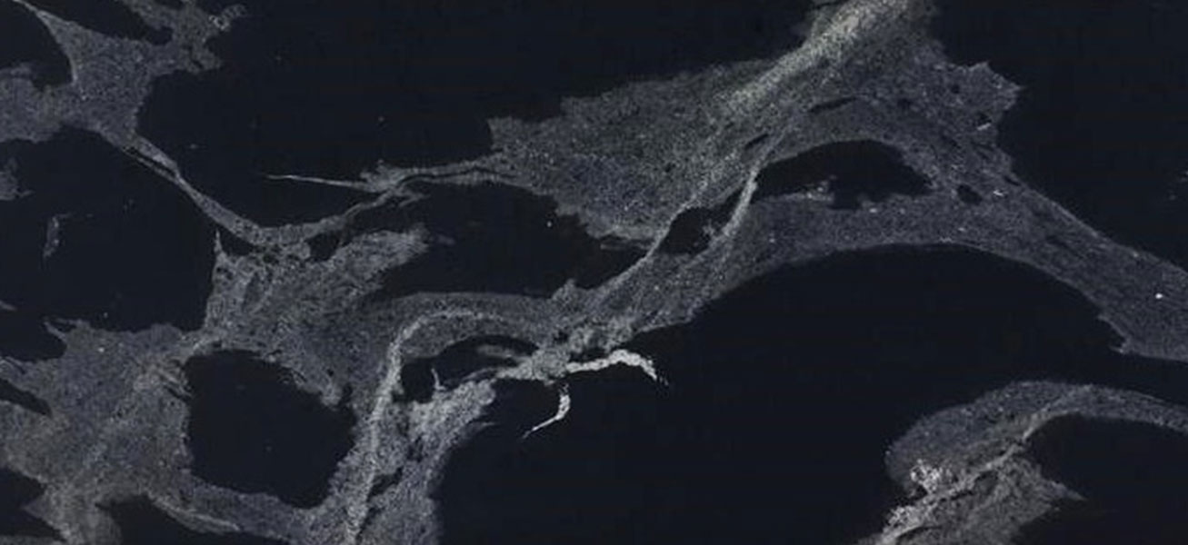 Capital Marbles & Granites